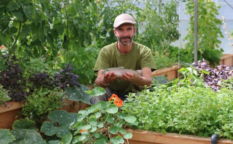 Mieux connaître les systèmes de production en Aquaponie grâce à ...